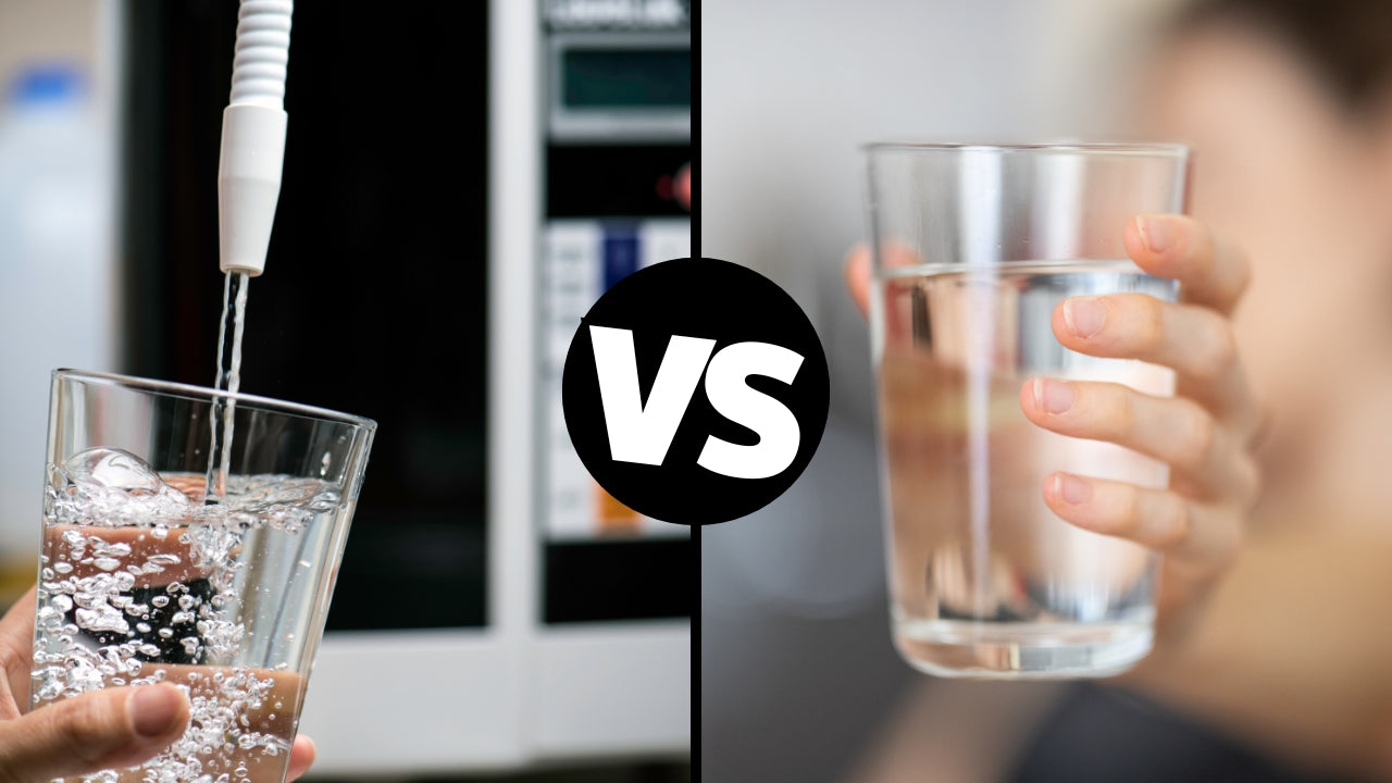 Alkaline Water vs. Regular Water: What’s the Difference and Why It Mat – Livingcare SG